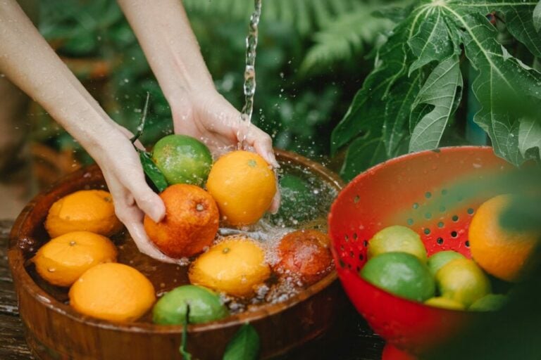 Understanding the Different Types of Citrus | Gobble